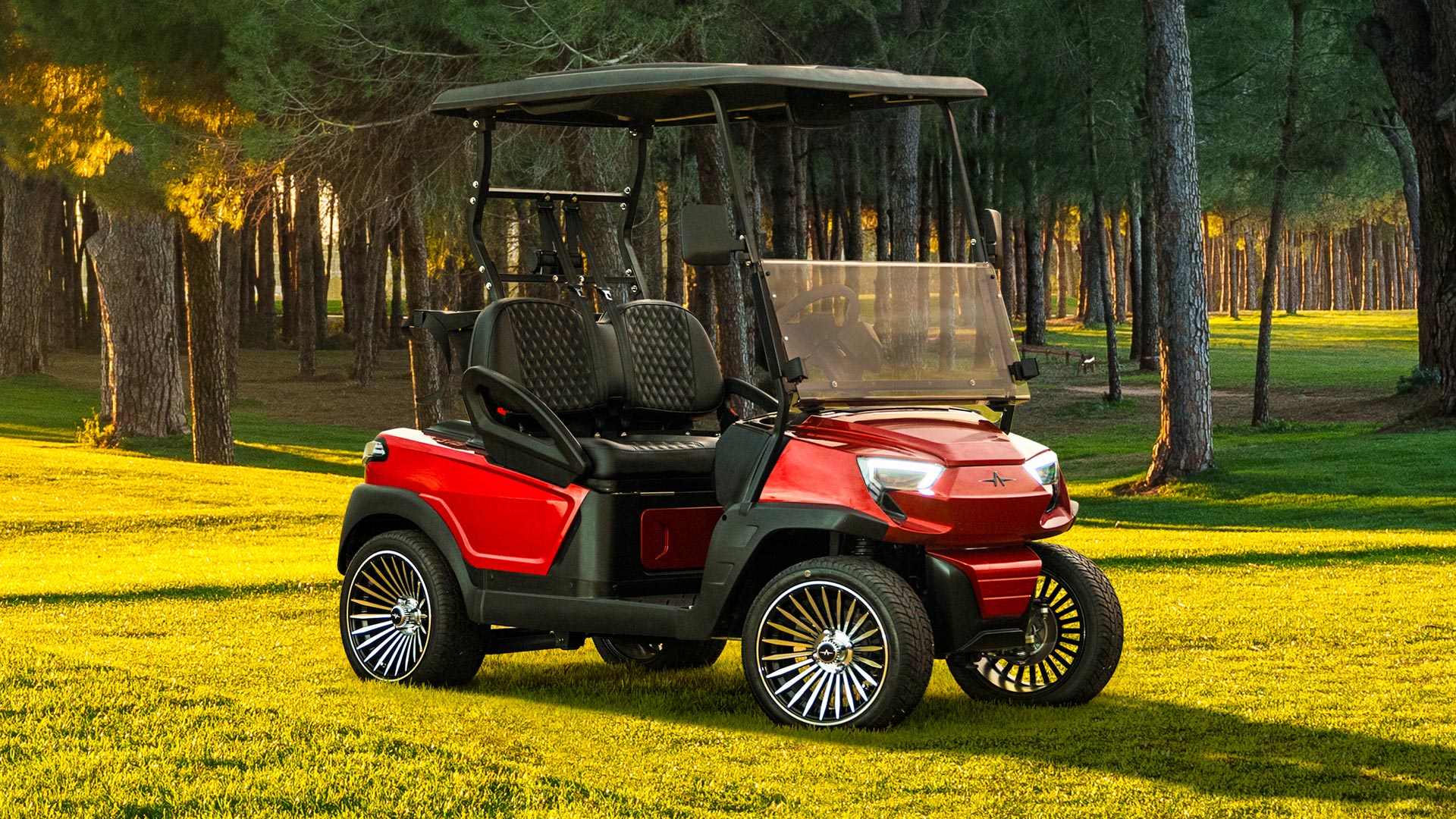 2 Passenger | The Perfect Personal Cart| Atlas Golf Carts | Atlas Carts