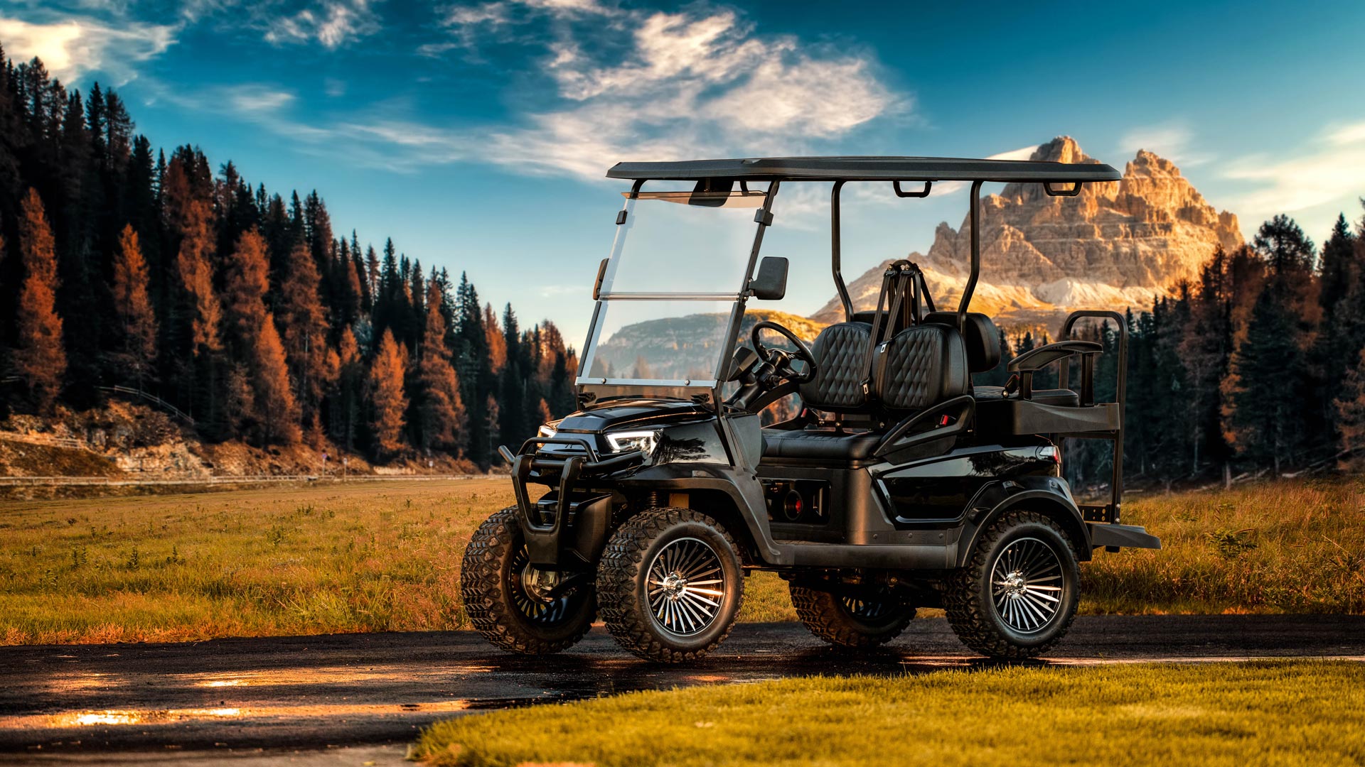 4 Passenger | All About Family and Community | Atlas Carts