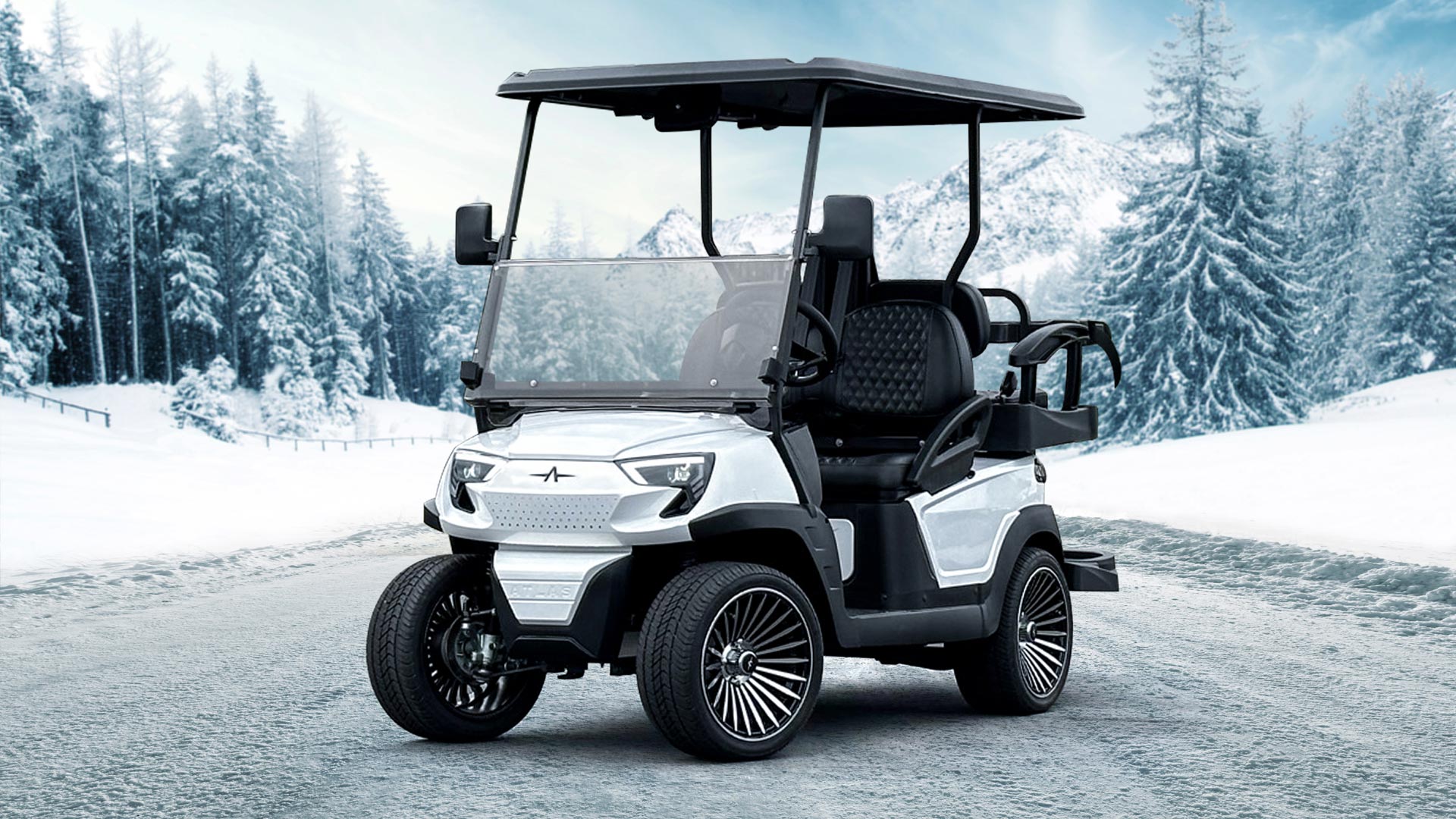 4 Passenger | All About Family and Community | Atlas Carts